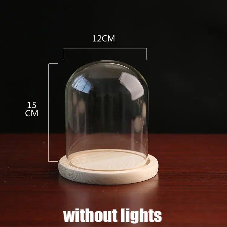 Стеклянный купол с деревянной подставкой