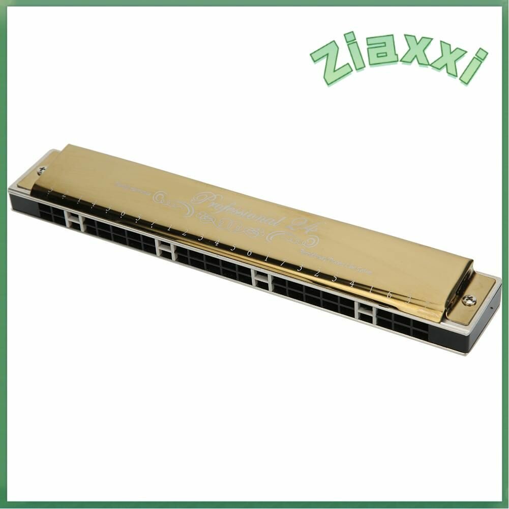 24 лунка тремоло гармоника