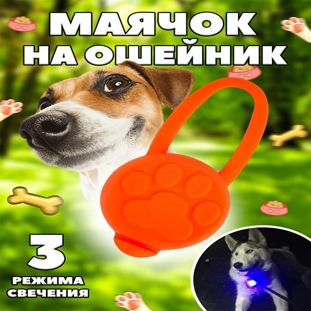 Светящийся брелок на ошейник для собак