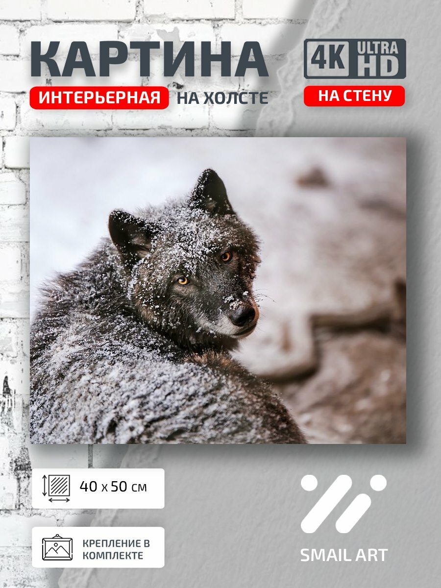 Картина на холсте интерьерная 40 на 50 на стену Шерсть Animal для кафе animal style декор