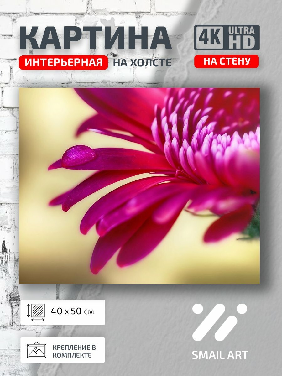 Картина на холсте интерьерная 40 на 50 на стену Росы Macro для кабинета макро интерьер