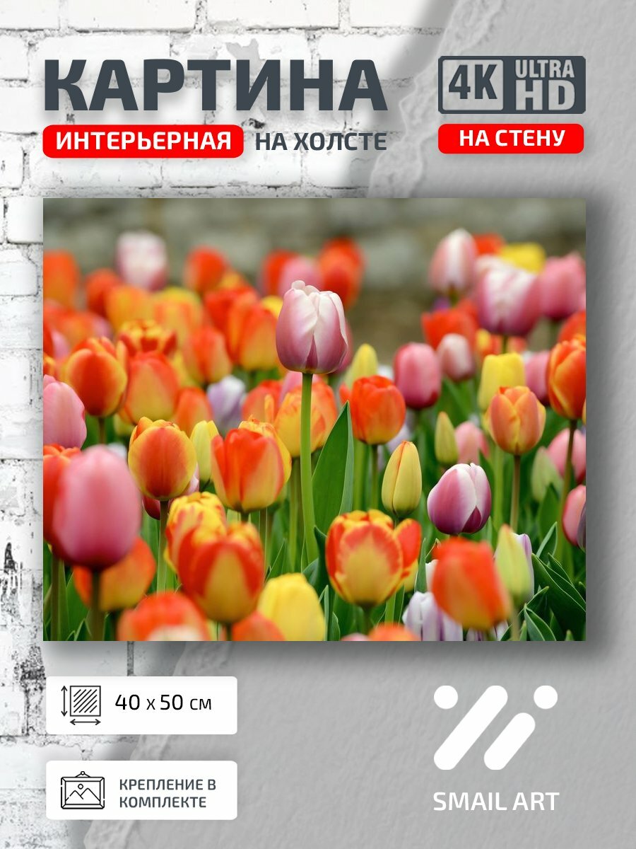 Картина на холсте интерьерная 40 на 50 на стену Поле Landscape для гостиной пейзаж интерьер