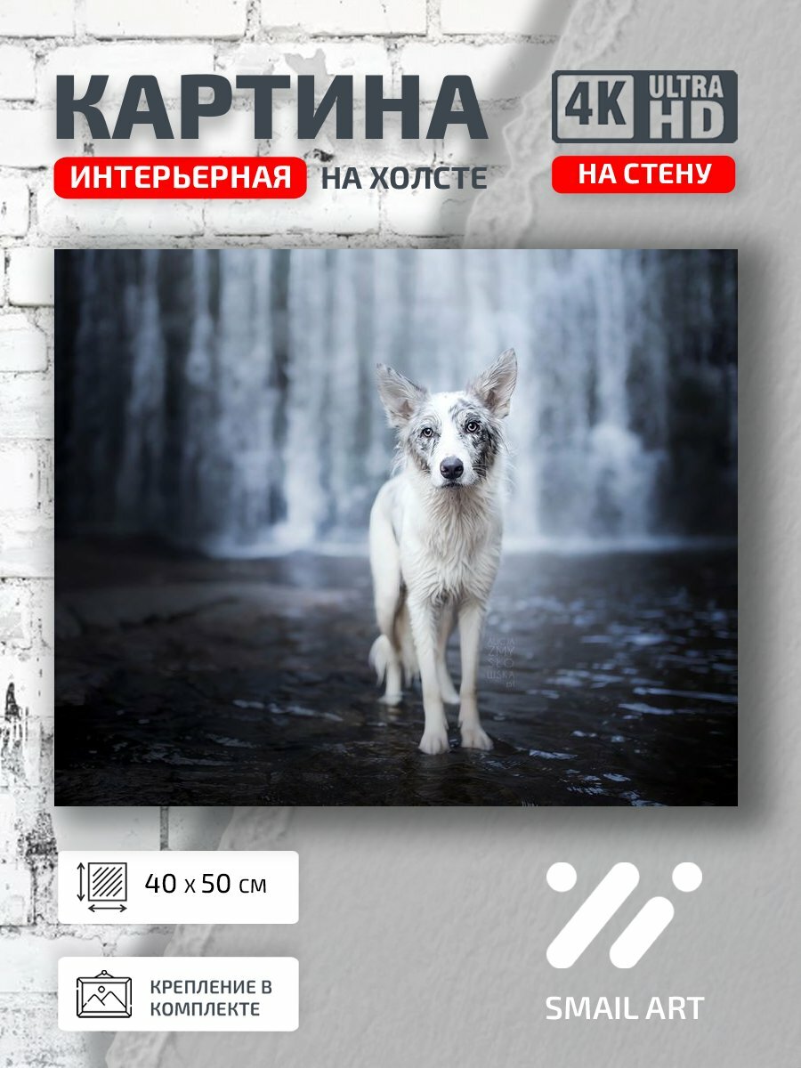 Картина на холсте интерьерная 40 на 50 на стену Белый Animal для детской animal style декор