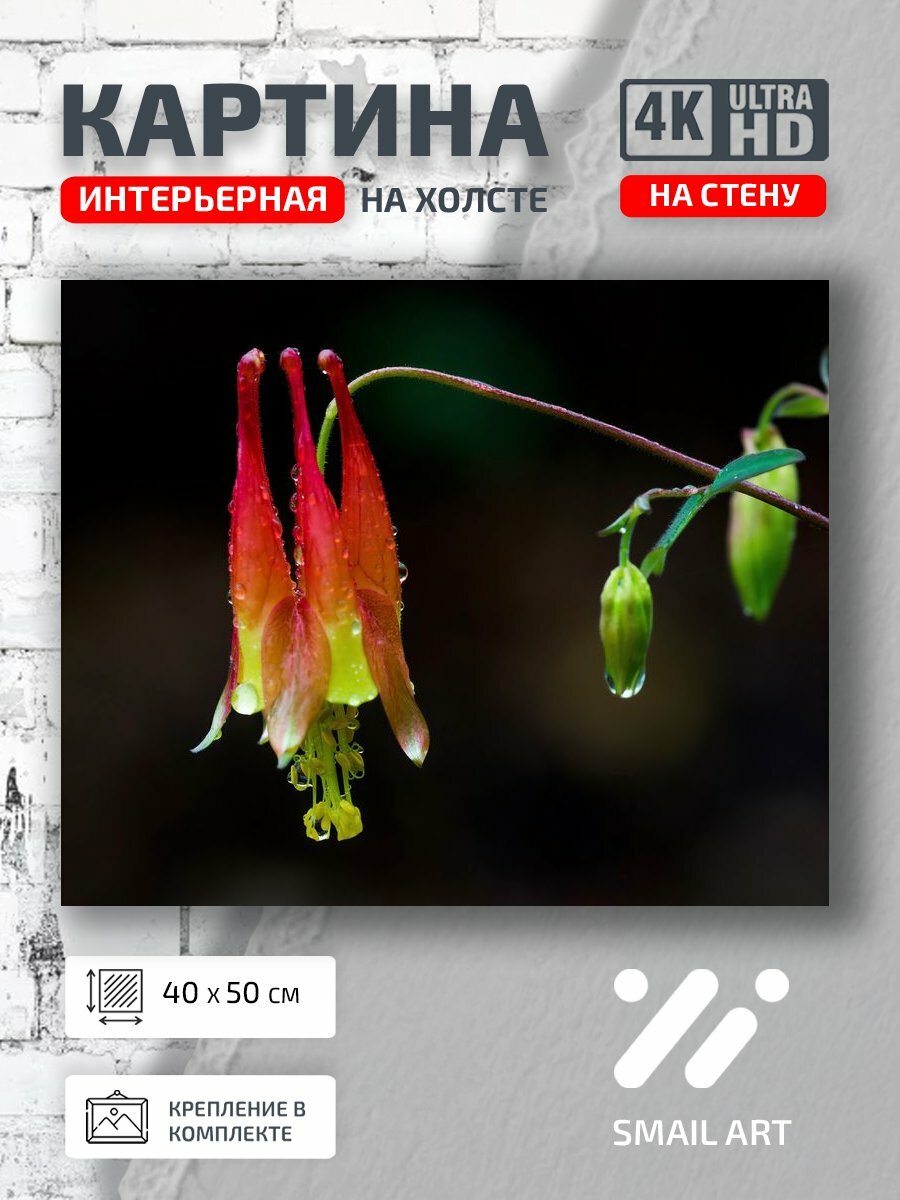 Картина на холсте интерьерная 40 на 50 на стену Воды Landscape для кафе пейзаж интерьер