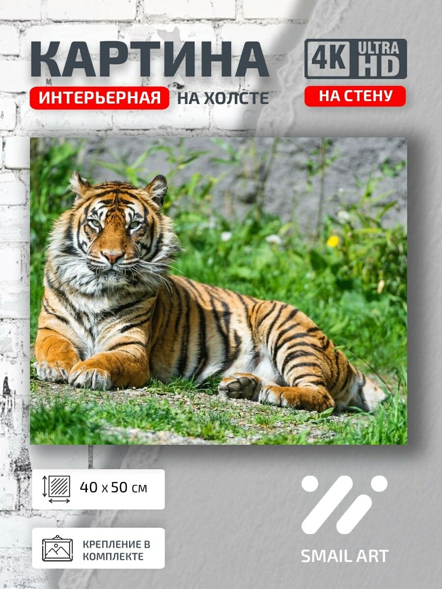 Картина на холсте интерьерная 40 на 50 на стену Большая кошка для спальни атмосфера