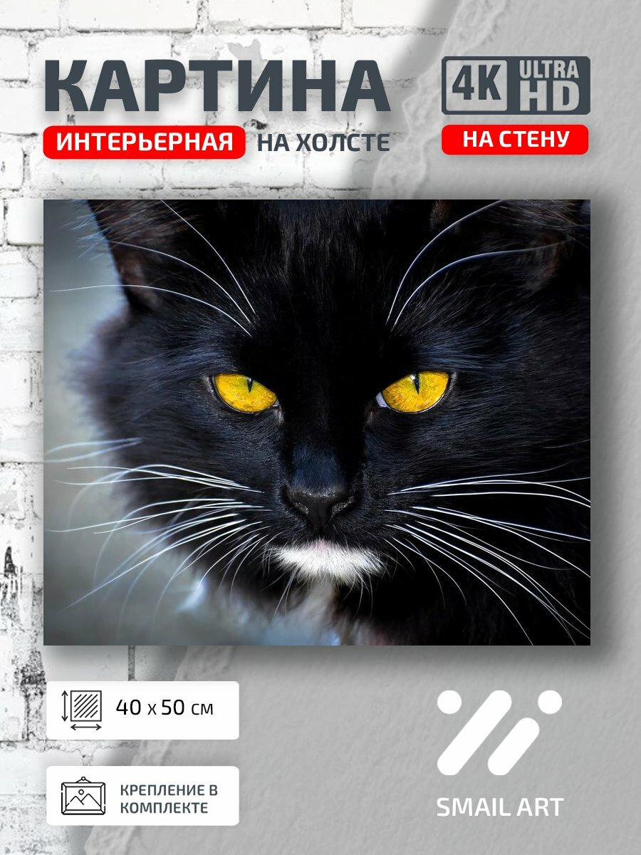 Картина на холсте интерьерная 40 на 50 на стену Глаза Animal для спальни animal style декор