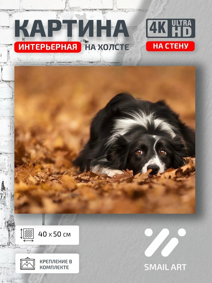 Картина на холсте интерьерная 40 на 50 на стену Взгляд Mood для гостиной атмосфера интерьер