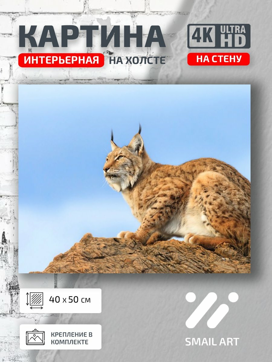 Картина на холсте интерьерная 40 на 50 на стену Камень Mood для офиса атмосфера интерьер