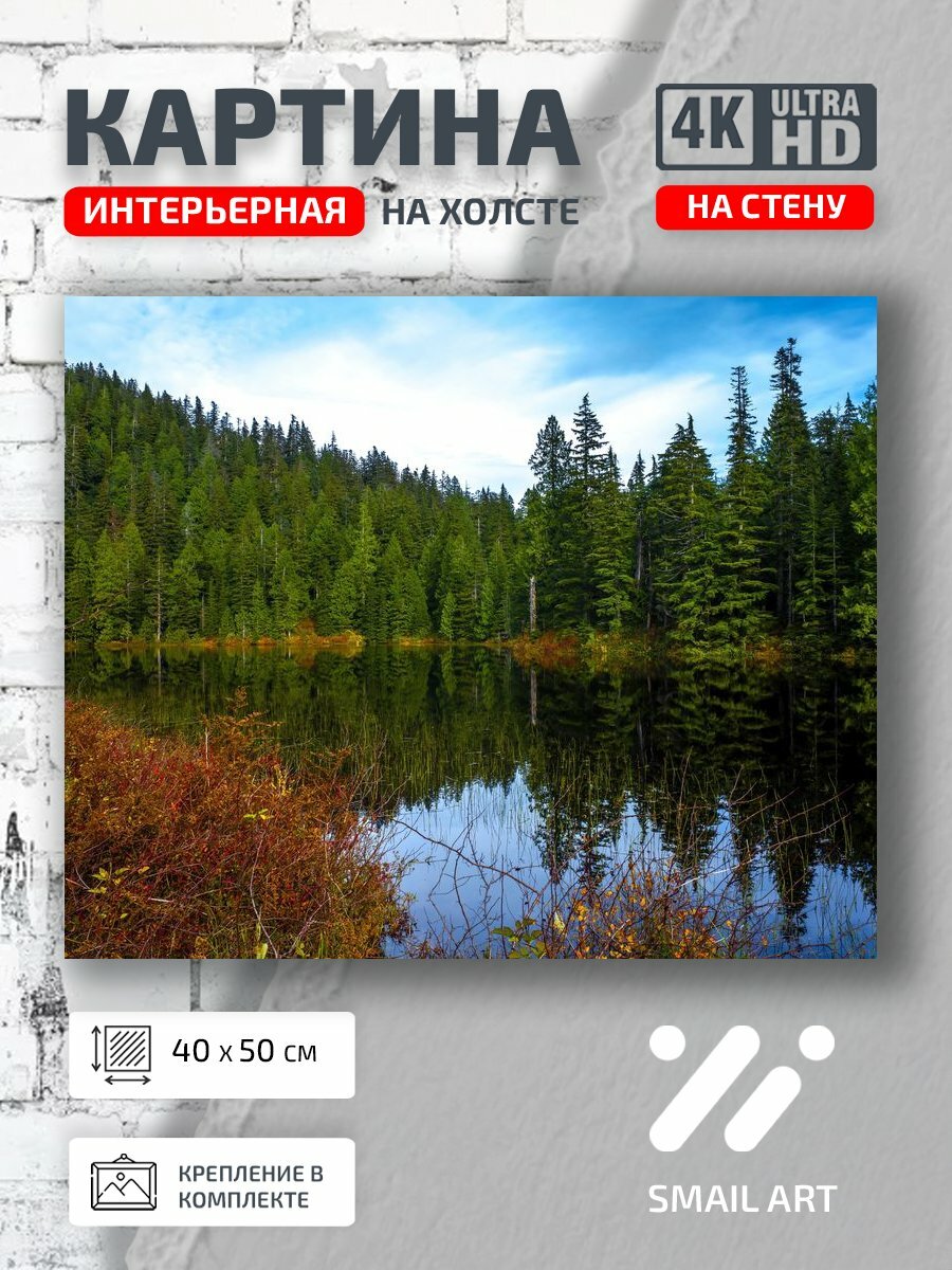 Картина на холсте интерьерная 40 на 50 на стену Озеро Landscape для офиса пейзаж интерьер