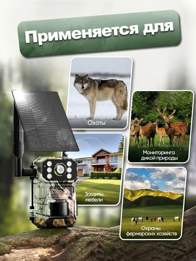 Фотоловушка — фото 1