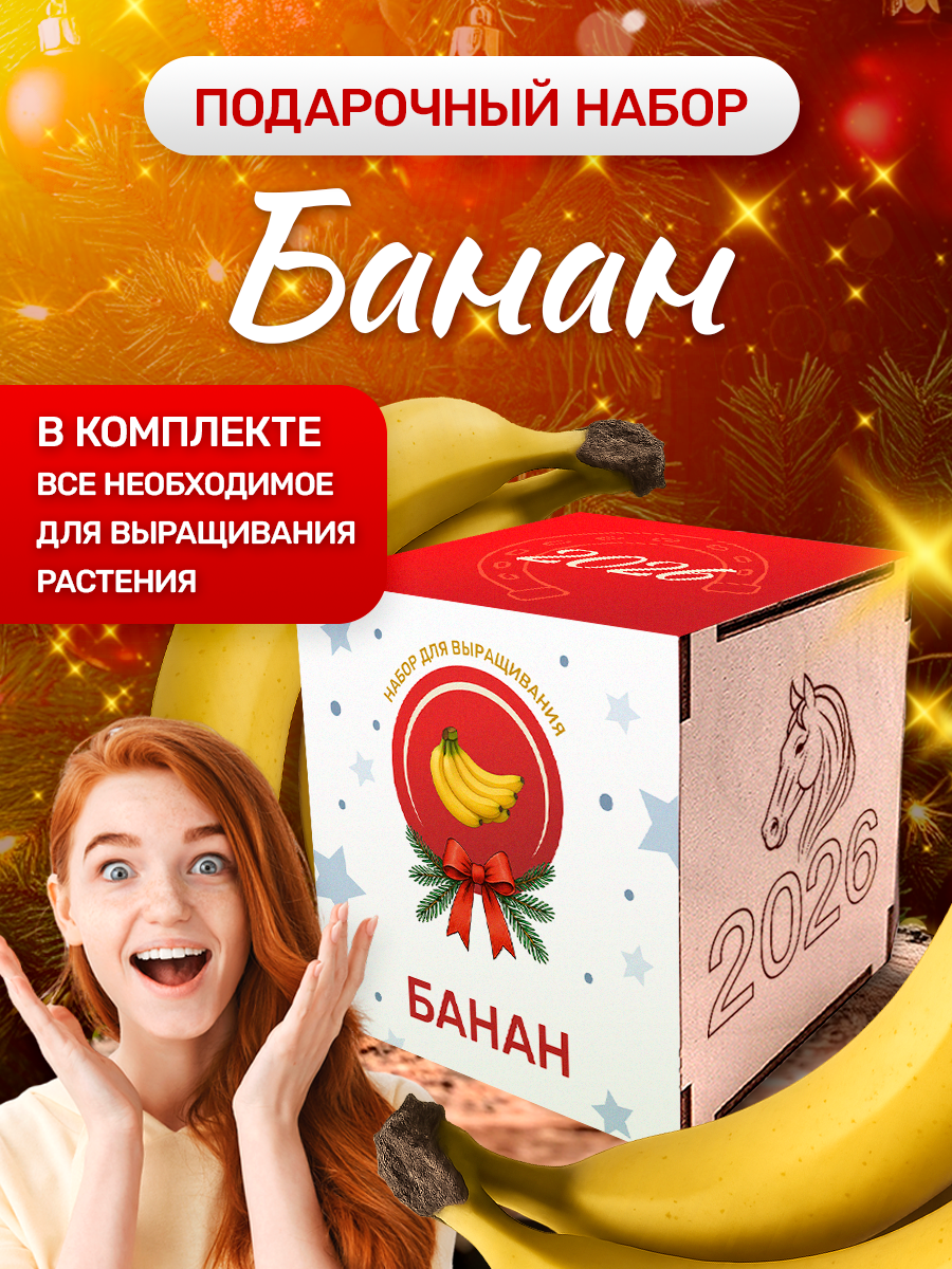 Банан Новогодний набор для выращивания растений