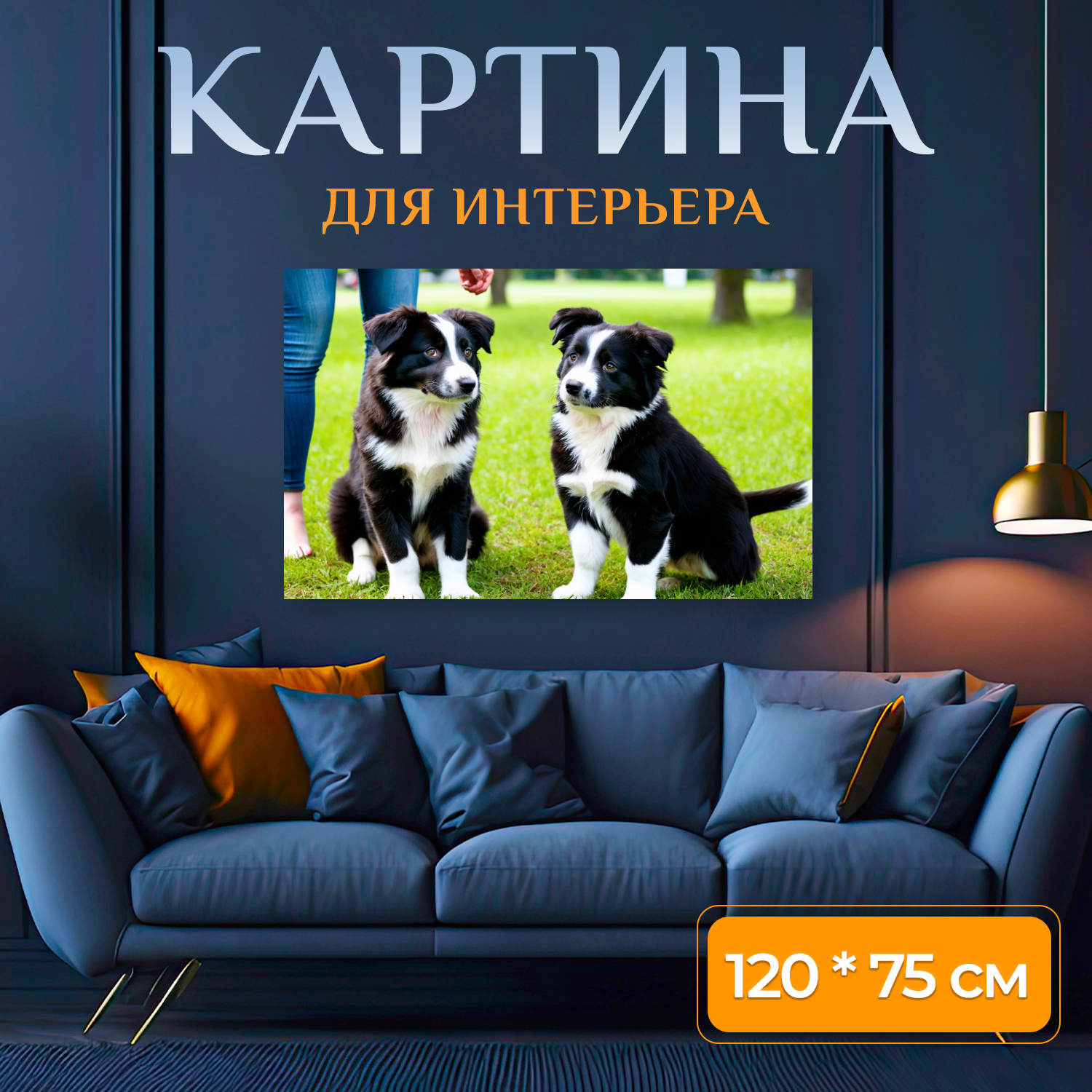 Картина на холсте "Щенки бордер-колли, обучающиеся трюкам со своим хозяином в парке" на подрамнике 120х75 см. для интерьера