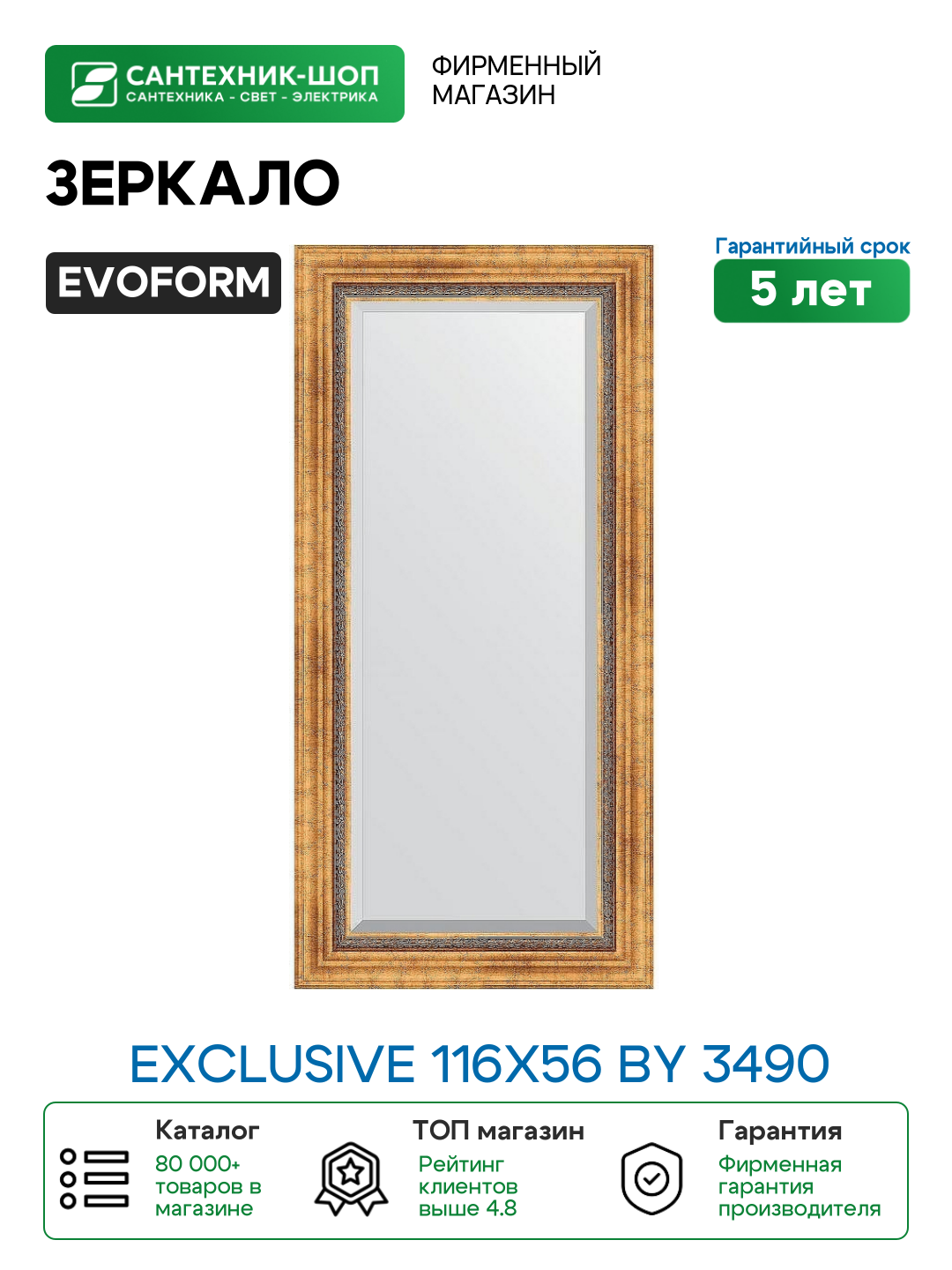 Зеркало Evoform Exclusive 116х56 BY 3490 с фацетом в багетной раме - Римское золото 88 мм стекло