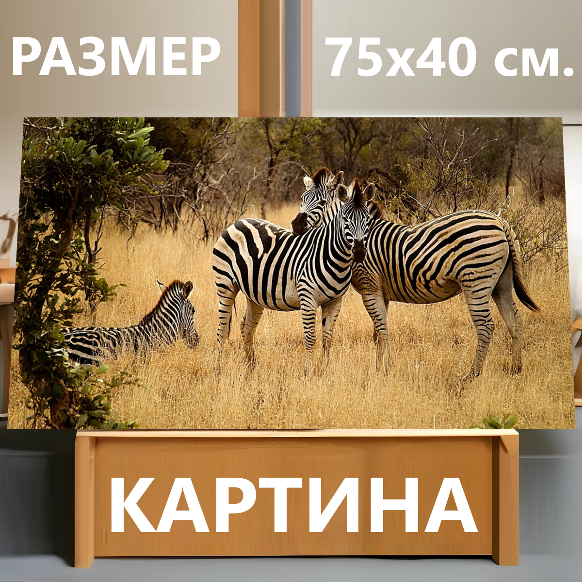 Картина на холсте "Зебры, группа, саванна" на подрамнике 75х40 см. для интерьера