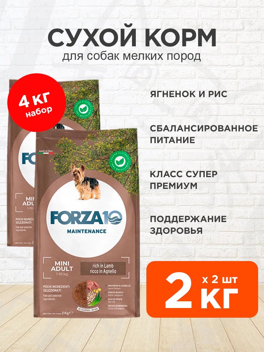 Корм сухой Forza10 Dog Maintenance Adult Mini для взрослых собак маленьких пород с ягненком и рисом, 2 кг х 2 шт