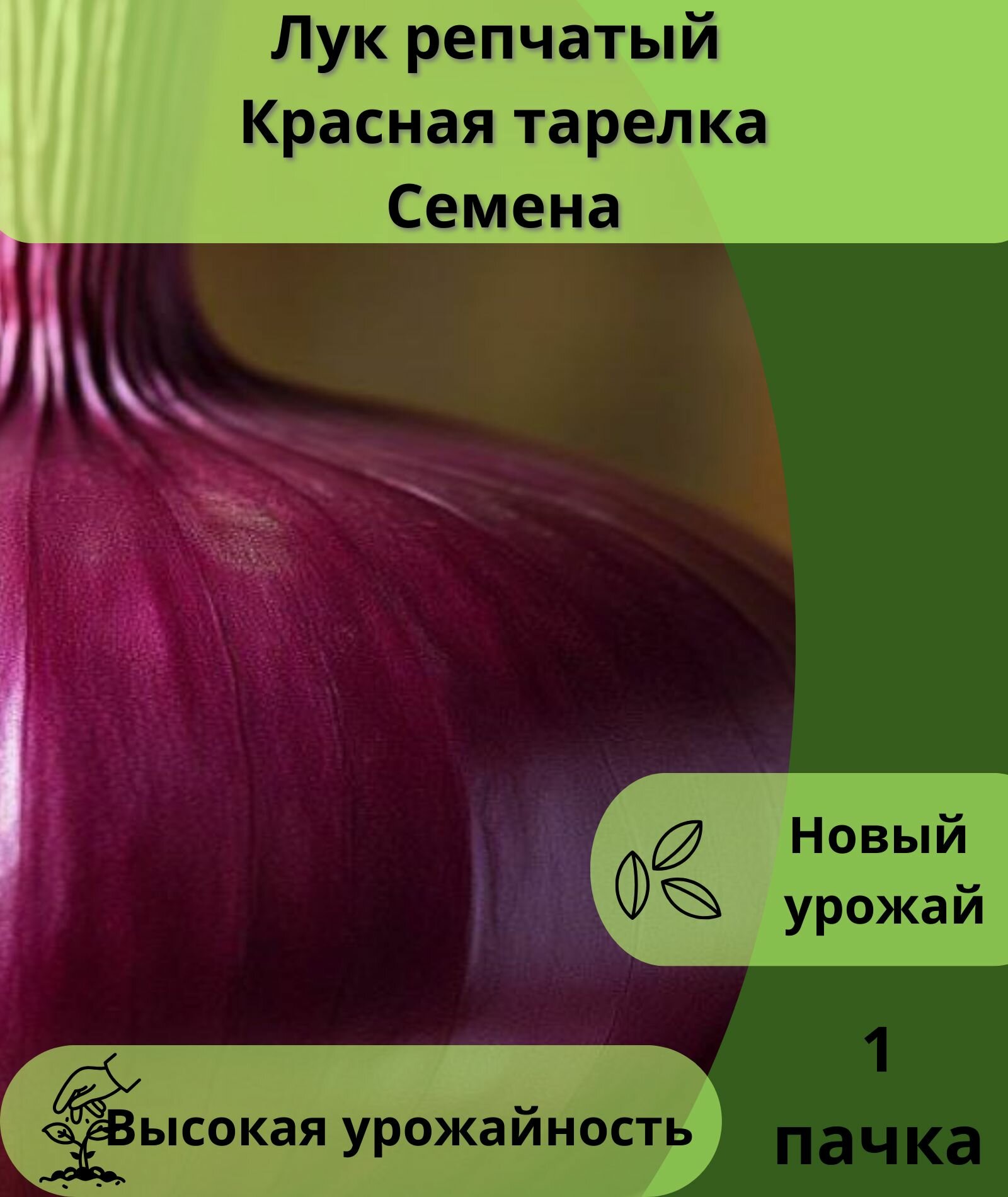 Лук репчатый Красная тарелка, семена 10шт