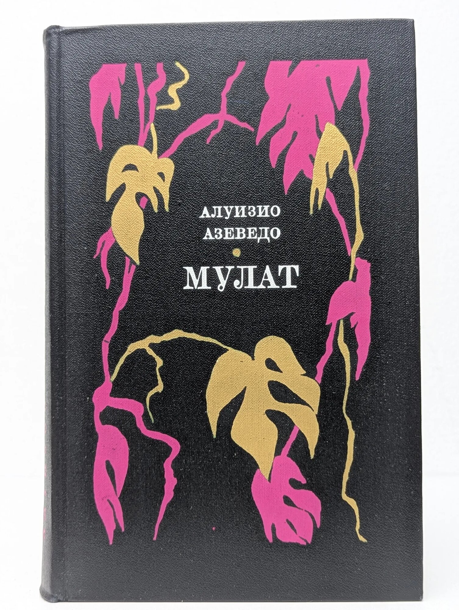 Мулат Азеведо Алуизио 1975