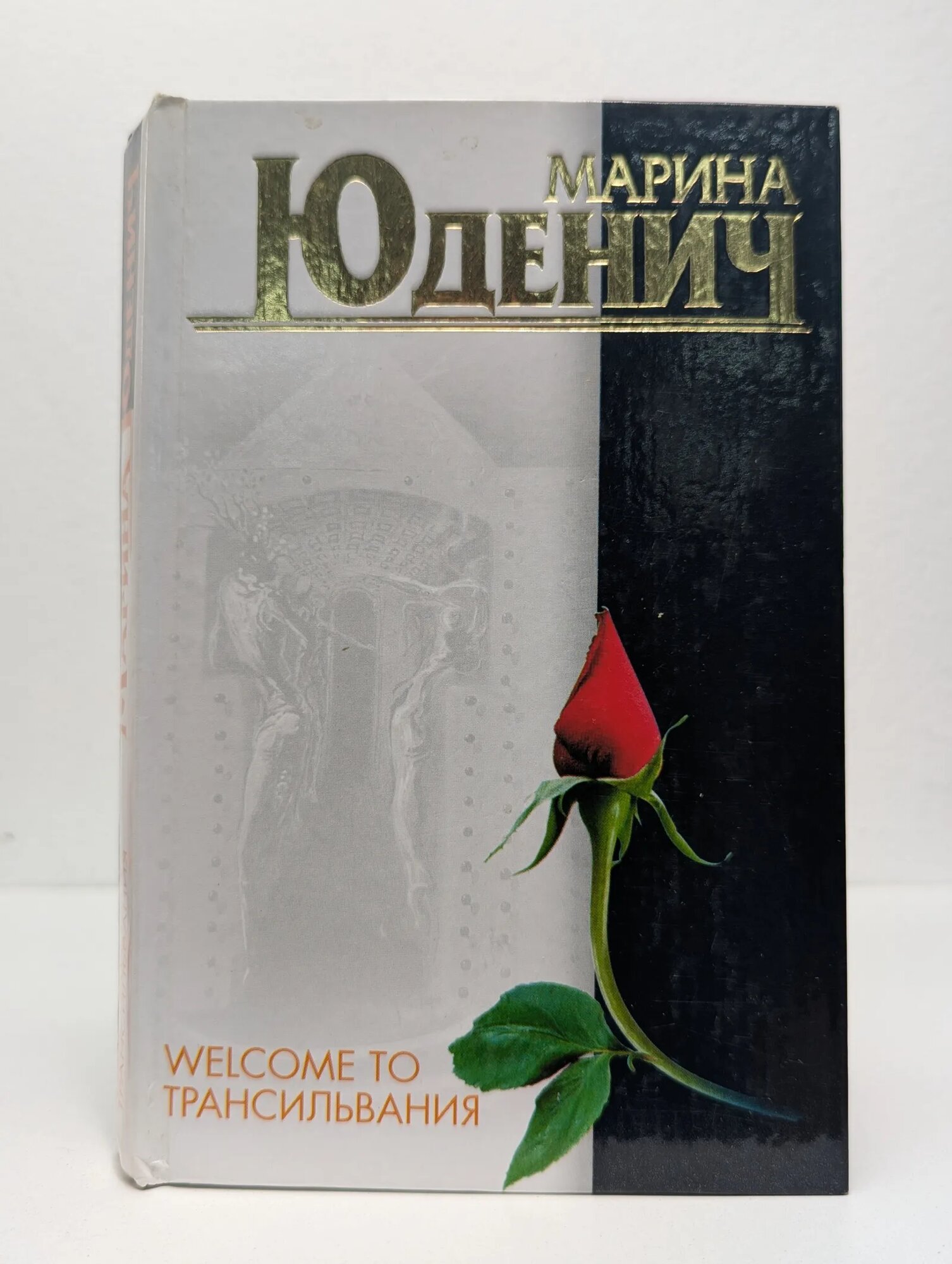 Welcome to Трансильвания Юденич Марина Андреевна 2004