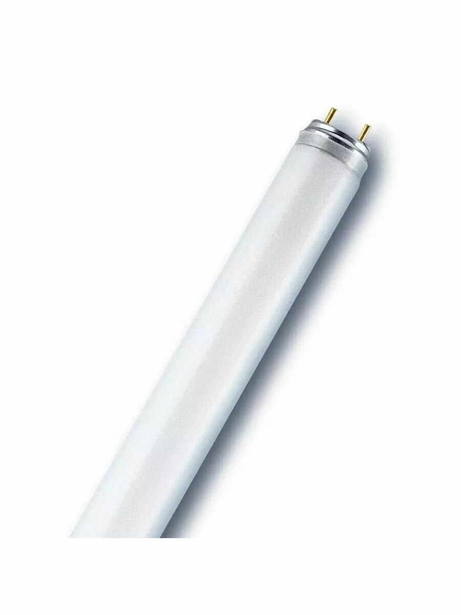 Лампа линейная люминесцентная ЛЛ 18вт T8 18/640 2 30В G13 код 14098854 BELLIGHT ( 1шт. )