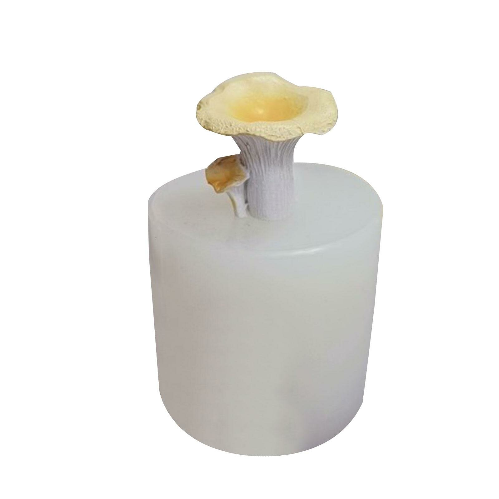 Форма для шоколада "Грибы и овощи", Стиль8