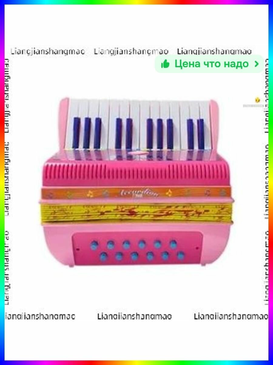 Аккордеон 24 клавиши и 12 басов для начинающих музыкантов-28 см