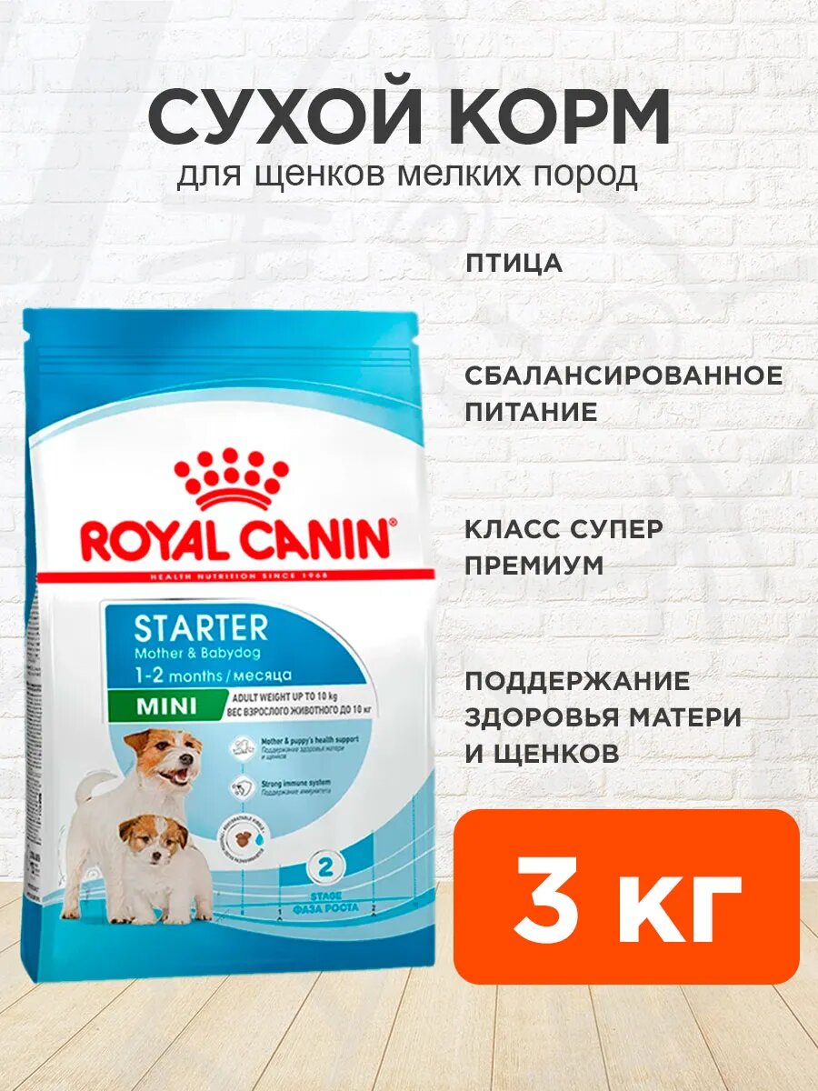 Корм сухой Royal Canin Mini Starter для щенков маленьких пород до 2 месяцев, беременных и кормящих сук, 3 кг