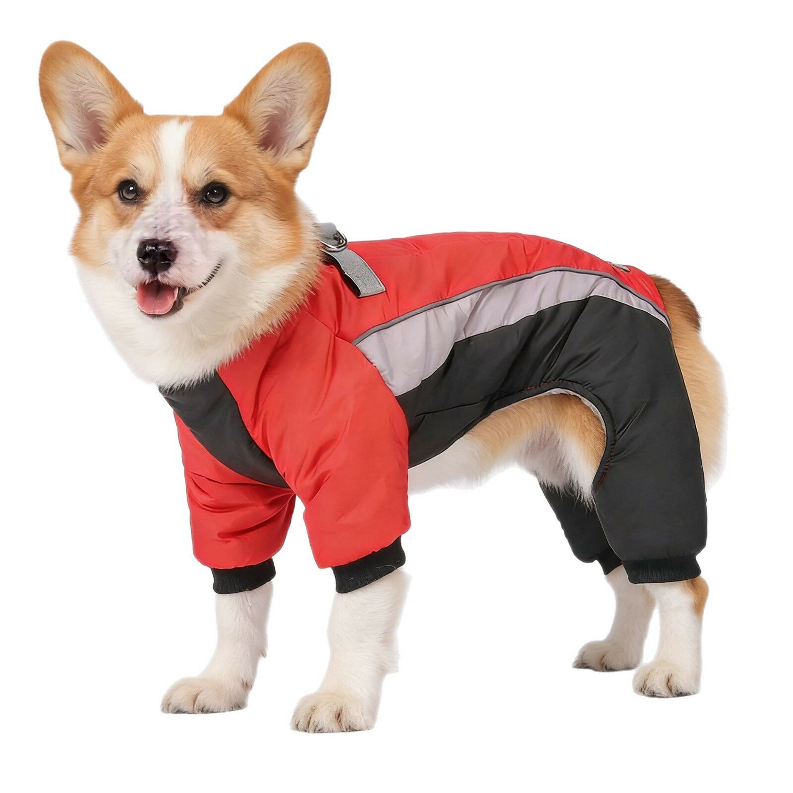 Новые осенние и зимние одежды для собак, хлопковая куртка для щенков на четыре лапы, уличная светоотражающая поводок, антихолодное хлопковое пальто для собак