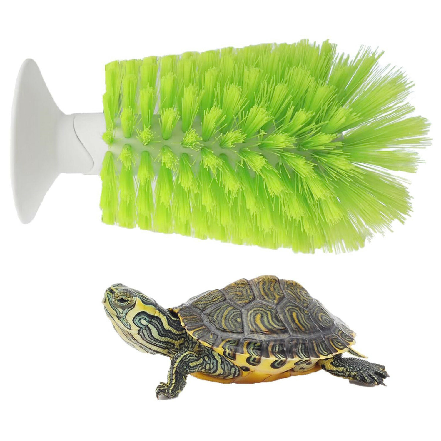 Щетка для чистки панциря черепахи Turtle Scrub Brush для удаления чешуи с панциря краснокулы slider, с присосками для аквариума, зеленый цвет, материал ABS+Nylon+PTR, количество 1 штука