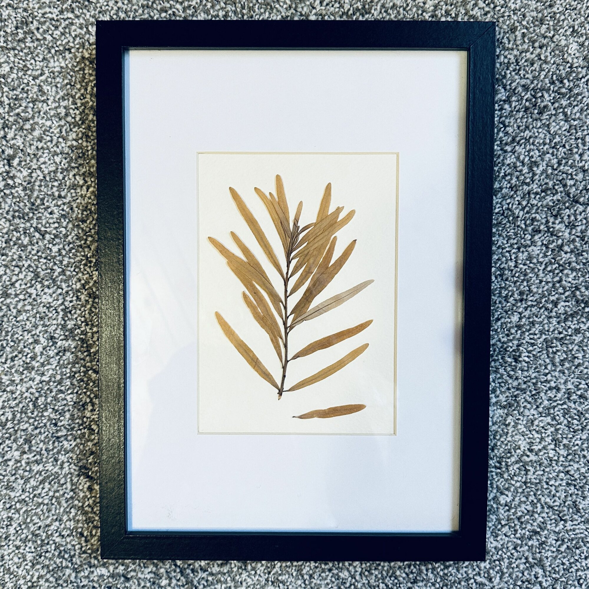 Панно с сухоцветами в рамке