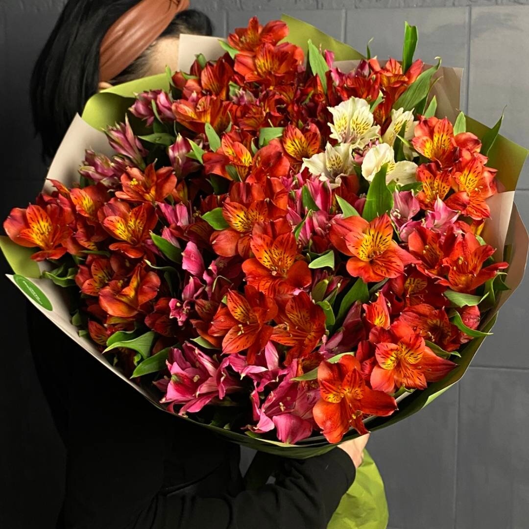 Букет из разноцветных альстромерий 51 шт, красивый букет цветов, шикарный, премиум цветы, премиум букет