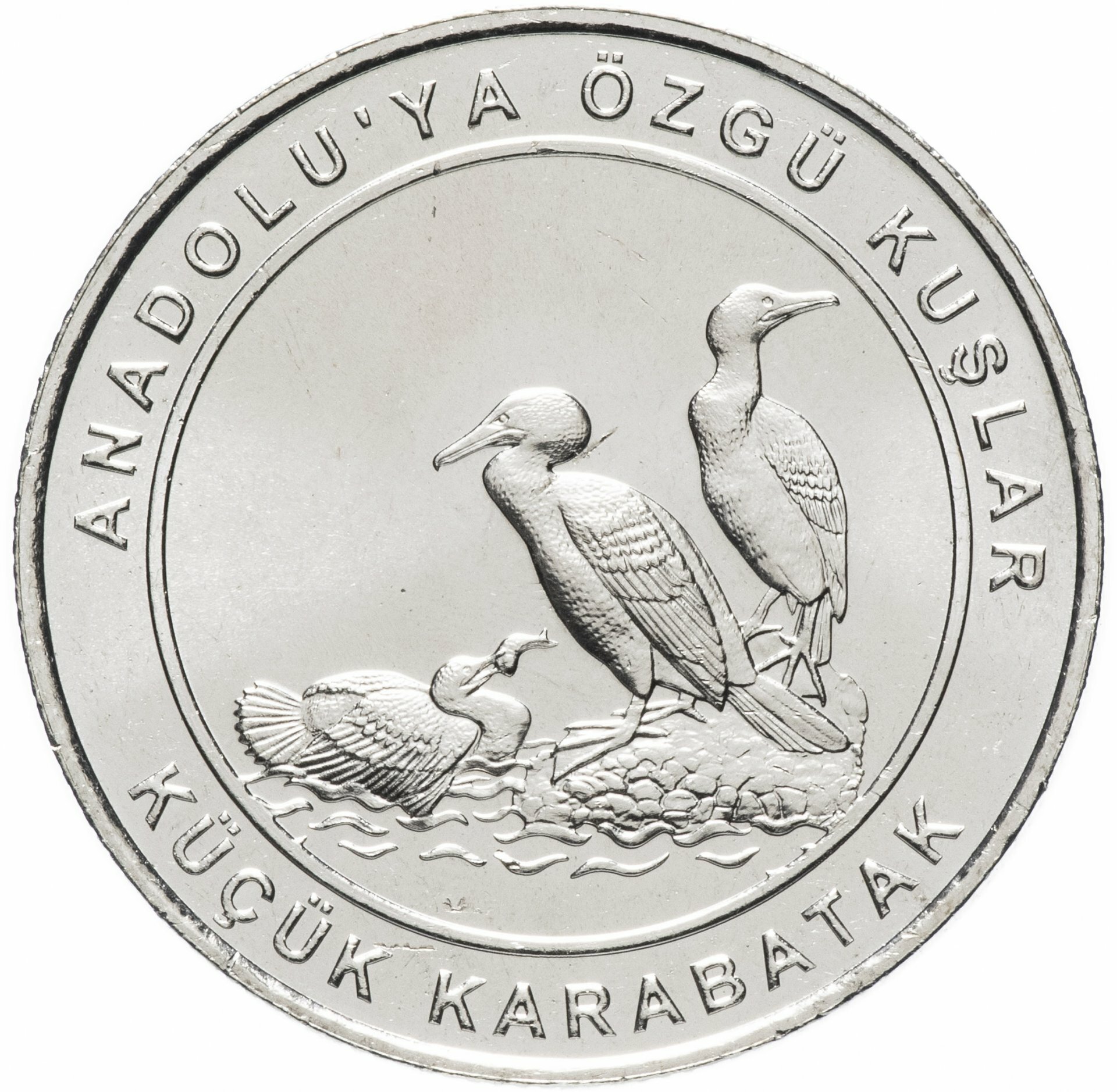 Турция 1 куруш, 2018 "Малый баклан" Серия "Птицы Анатолии", Медь, в сохранности UNC