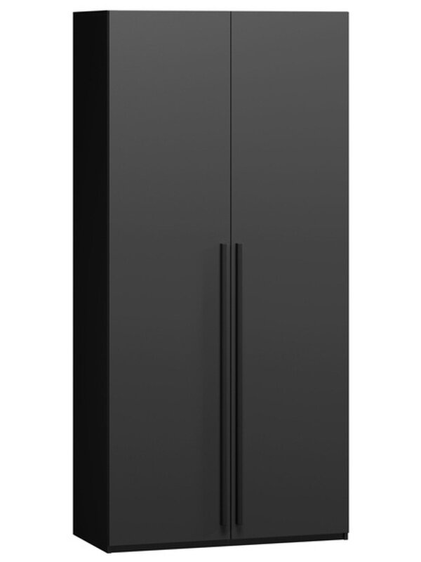 Шкаф распашной Лорена Пакс-2 Черный для одежды двухдверный 120*250*40