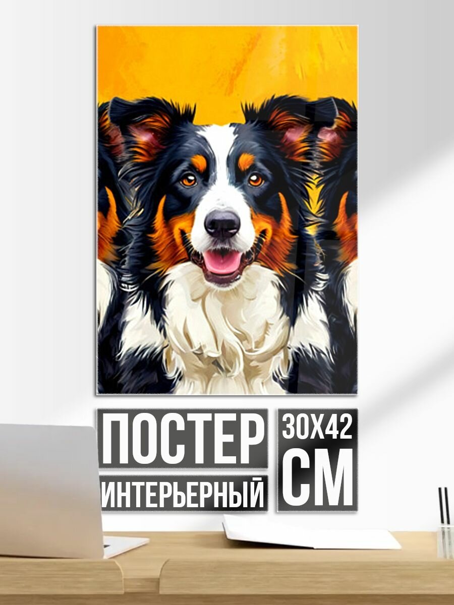 Постер на стену Бордер-колли