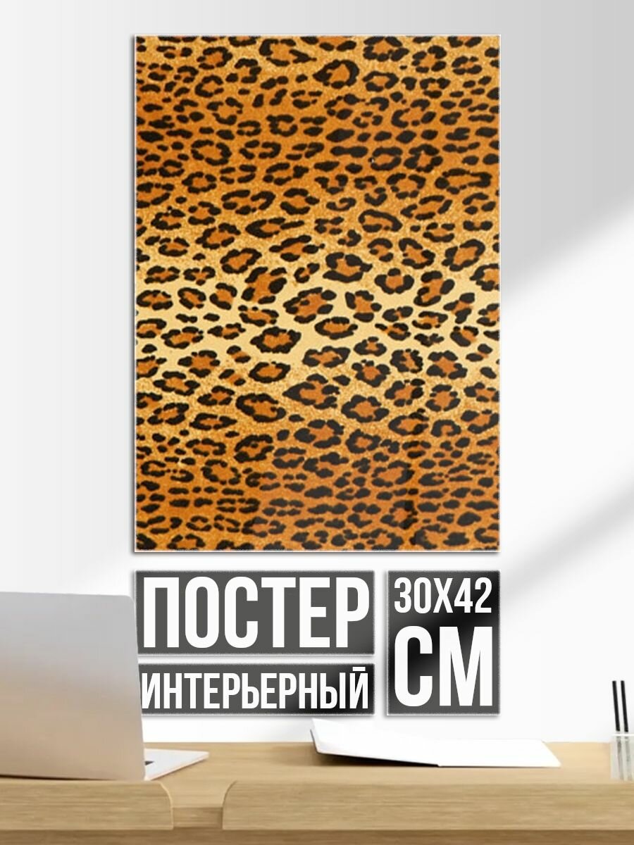 Постер на стену Красивая леопардовая шкура