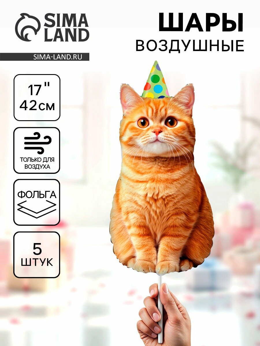 Воздушные шары фольгированные 17"Котик в колпачке", 5 шт, для палочек