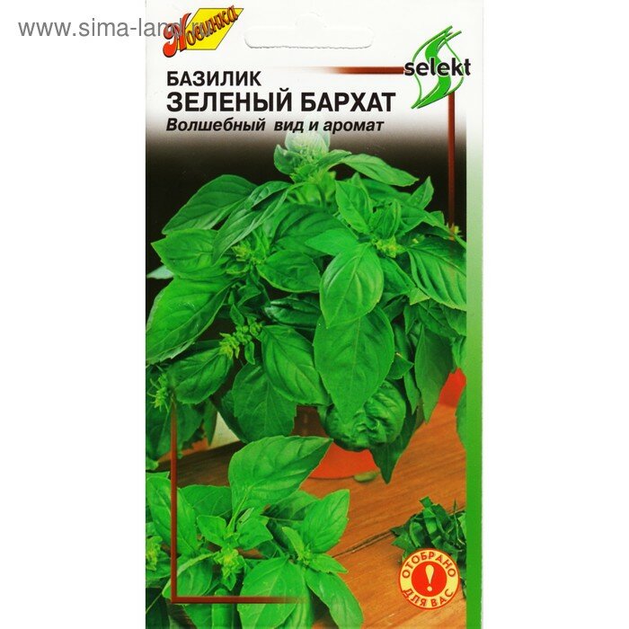 Семена Базилик «Зеленый Бархат», 120 шт, select