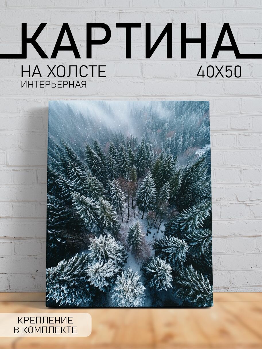 Картина на стену для интерьера на холсте с подрамником "Зимний лес", 40х50 см