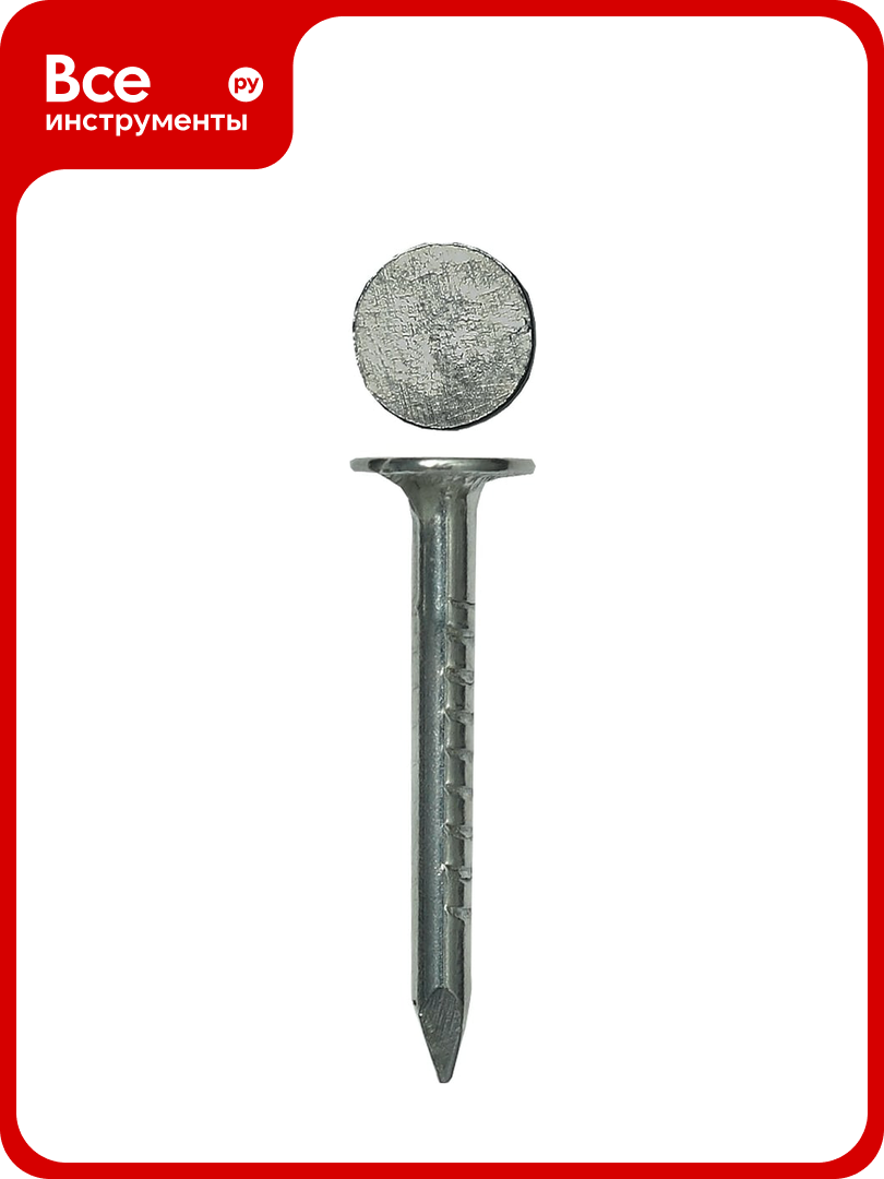 Толевые гвозди Зубр мастер оцин 305216-20-025