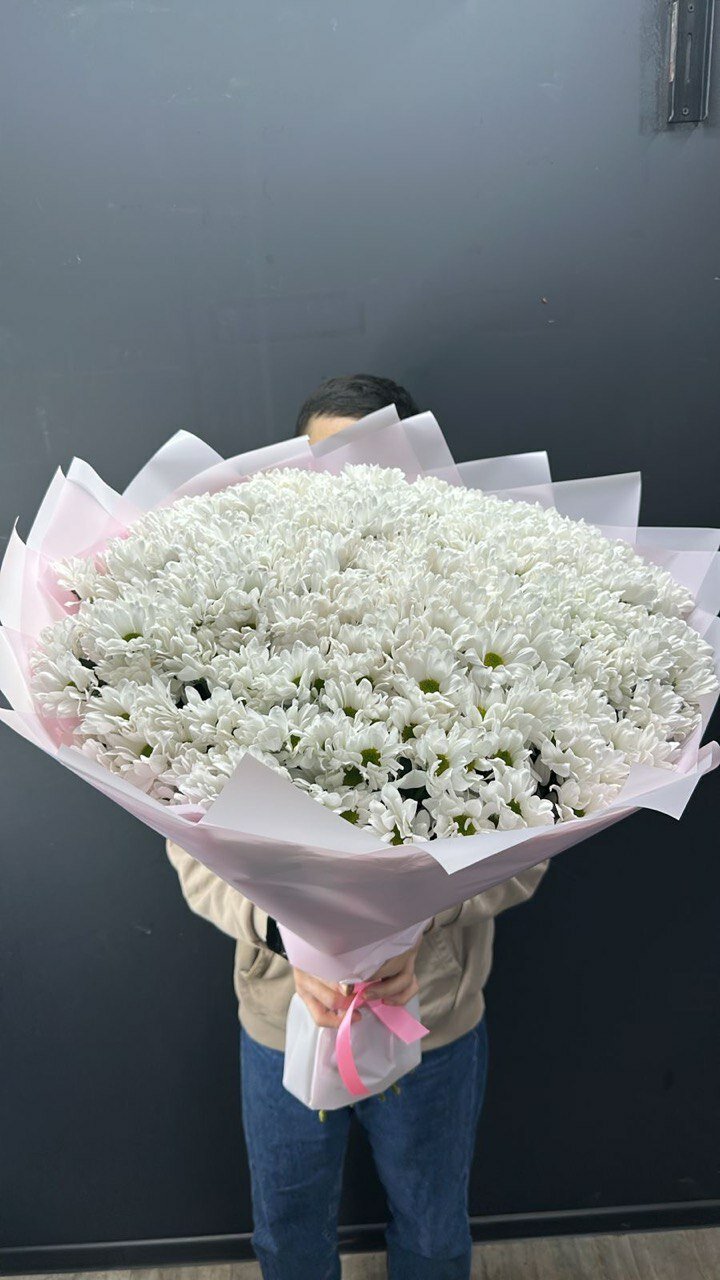 Хризантемы / Букет белых хризантем 29 шт / Живые цветы Москва / Букет хризантем