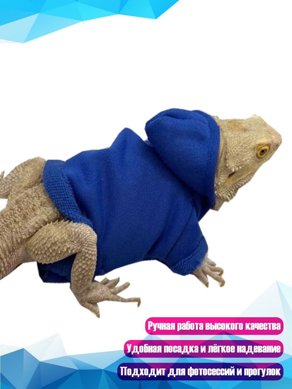 Костюм для бородатого дракона, темно-синий