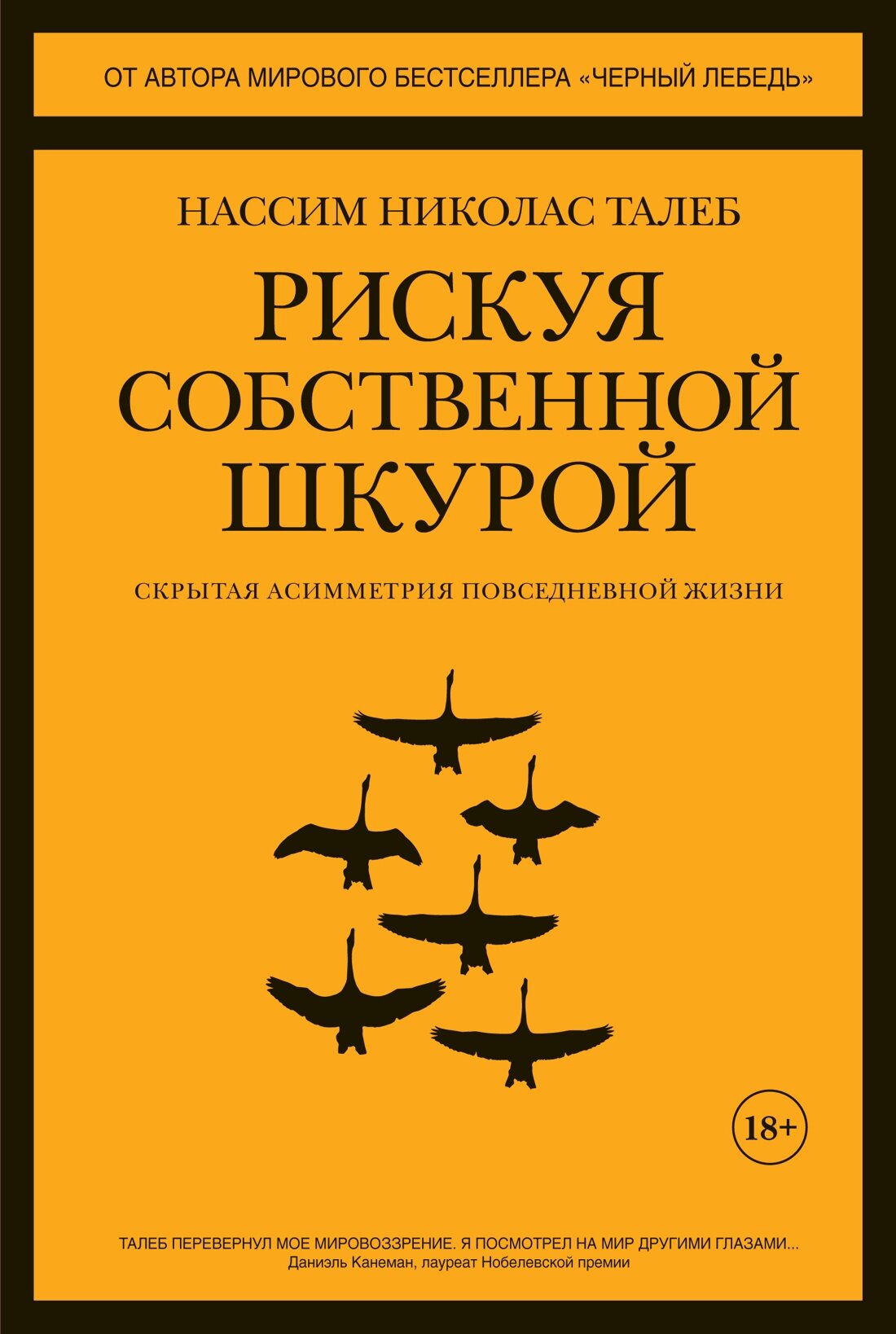 Рискуя собственной шкурой. Скрытая асимметрия повседневной жизни / Талеб Н. Н.