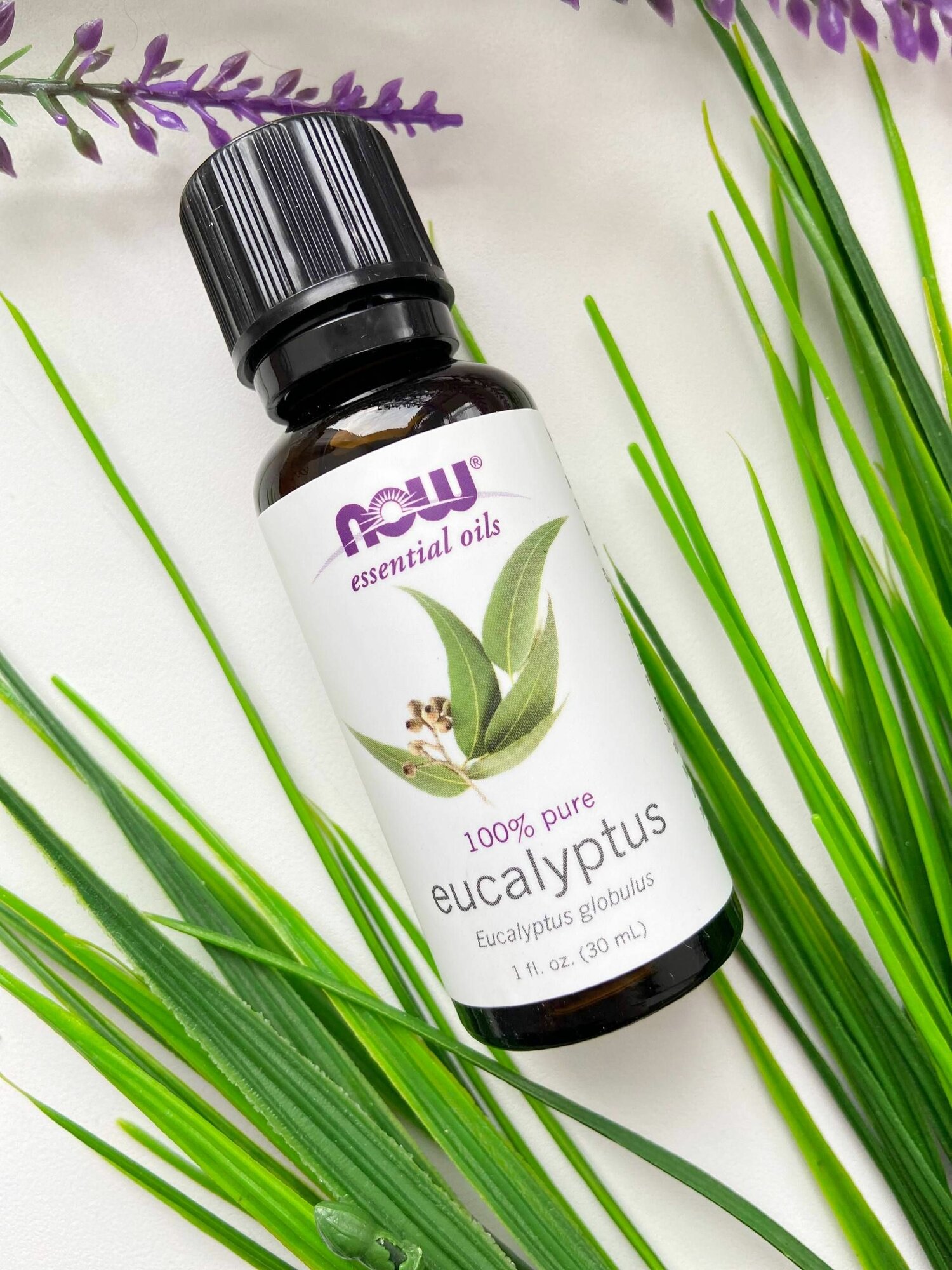 Эфирное масло эвкалипта, Now Foods, Eucalyptus Globulus Oil, 30 мл