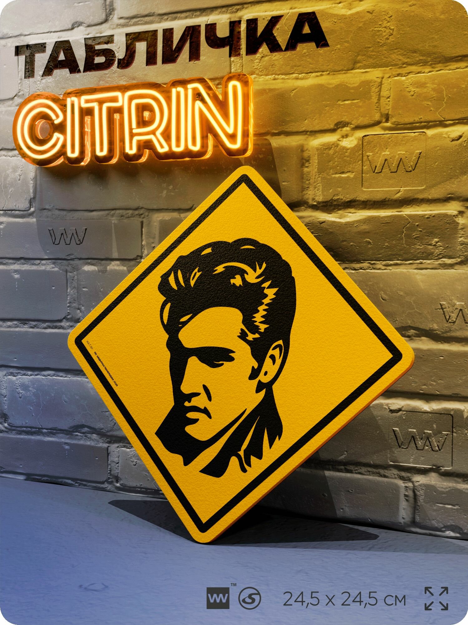 Табличка декоративная "Элвис Пресли, Elvis Presley" на дверь и стену, прикольная штука в подарок, декоративный знак, 24,5х24,5 см, пластиковая, Айдентика Технолоджи