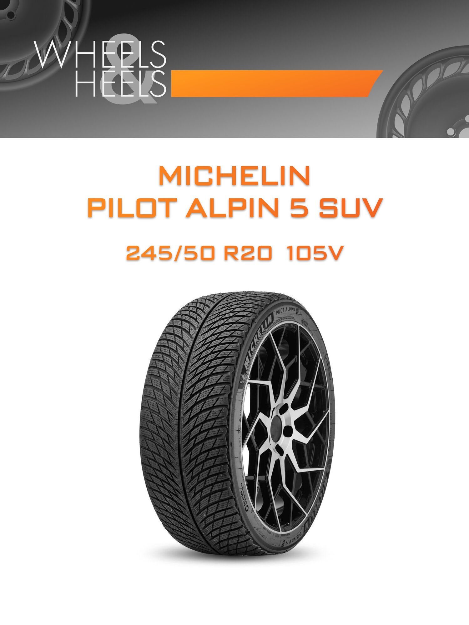 Шина автомобильная Michelin PILOT ALPIN 5 SUV 245/50 R20 105V XL WINTER, зимняя, универсальная