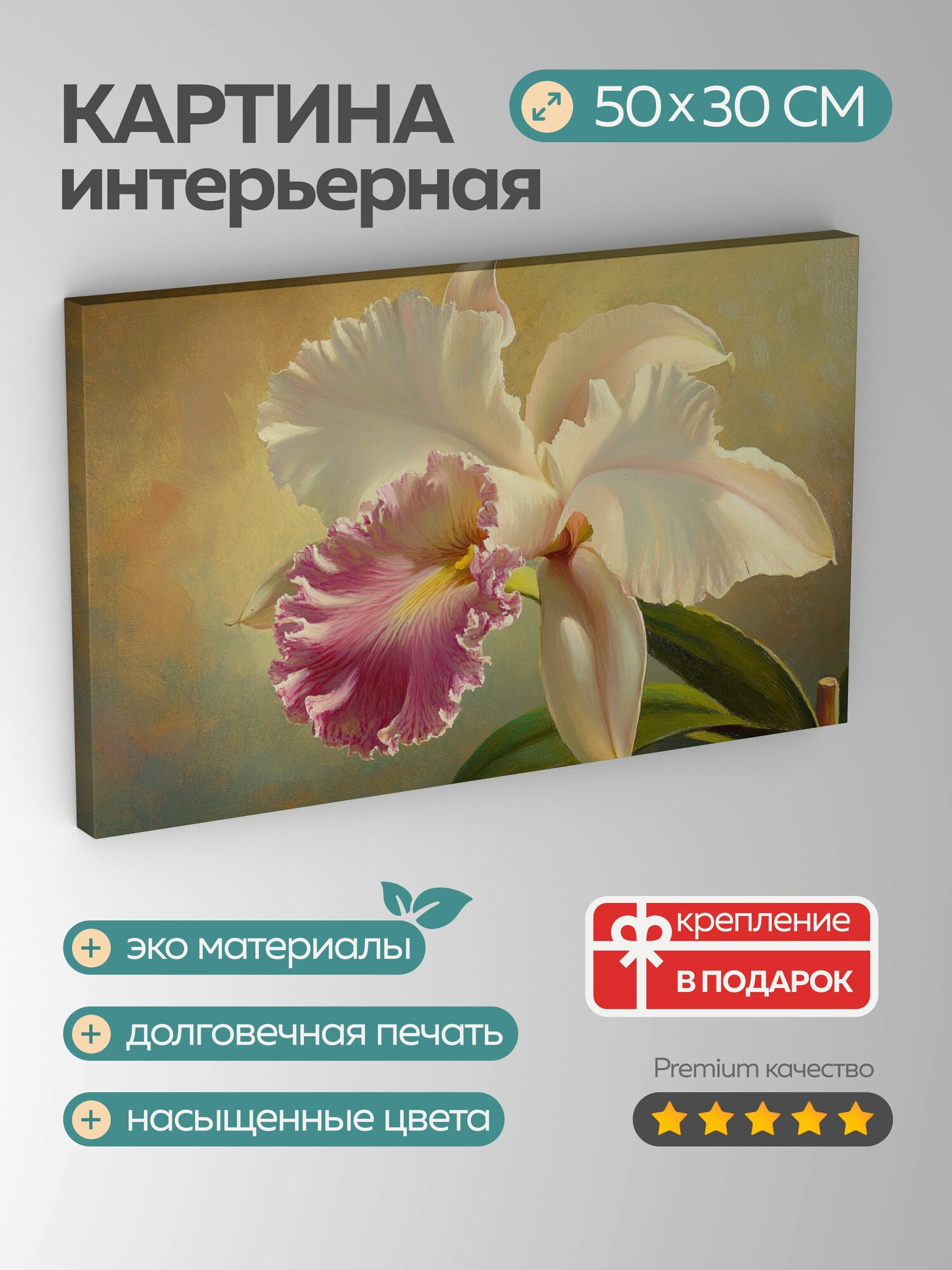 Картина на холсте интерьерная 50х30 см, картина, масло, орхидея, нежное, утонченное, очарование, насыщенные цвета