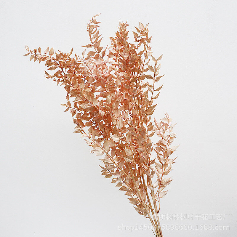 Букет сухих цветов "Шампанское", 1 пучок, 50 г