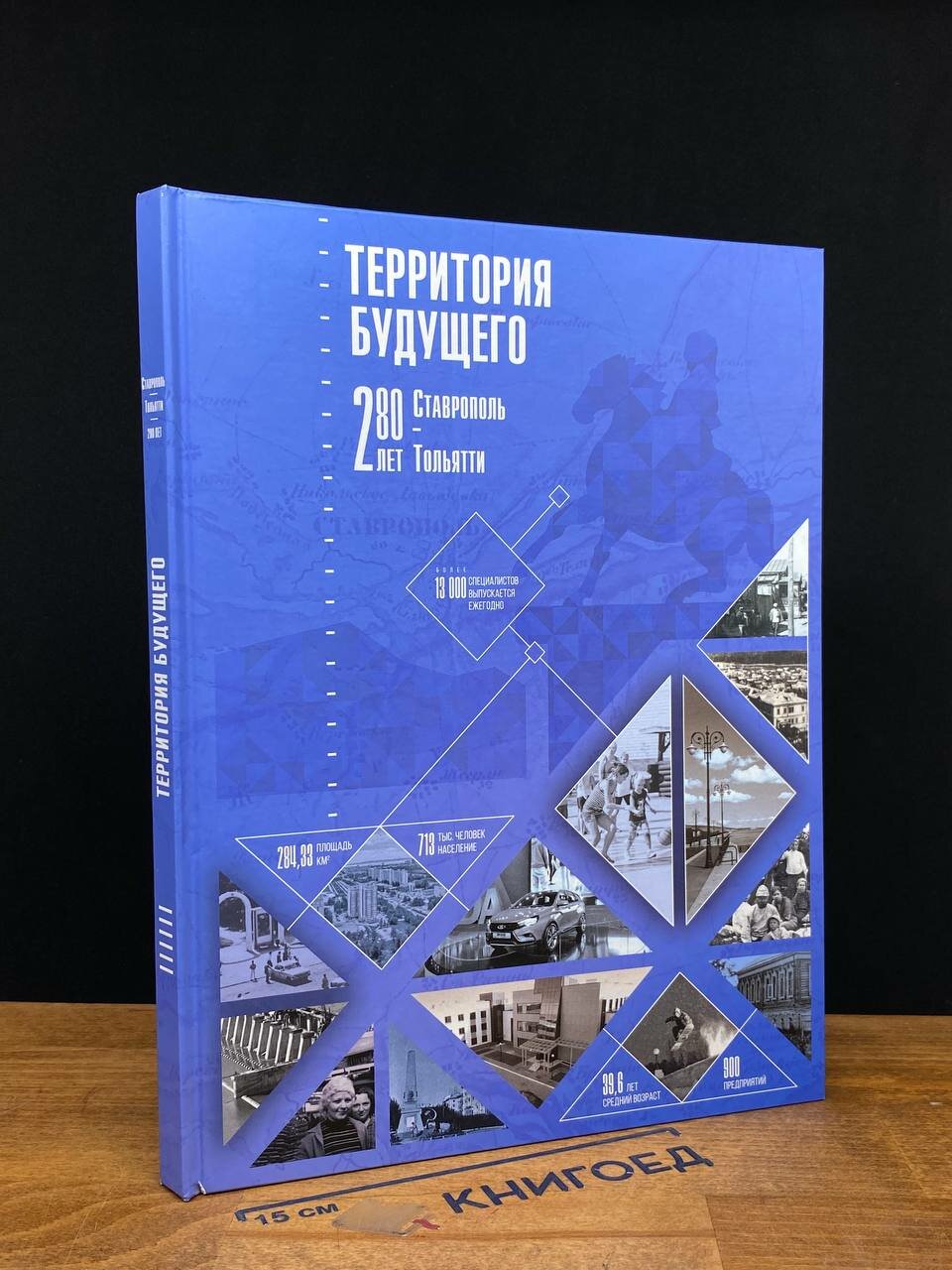 Книга. Территория будущего 2017 (2043936137196)