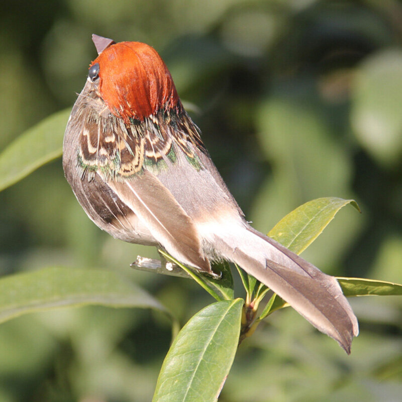 Весна Пасха Перо Птица Имитация Воробья Перо Птица Пена Птица Имитация Птицы Реквизит Садовое Украшение