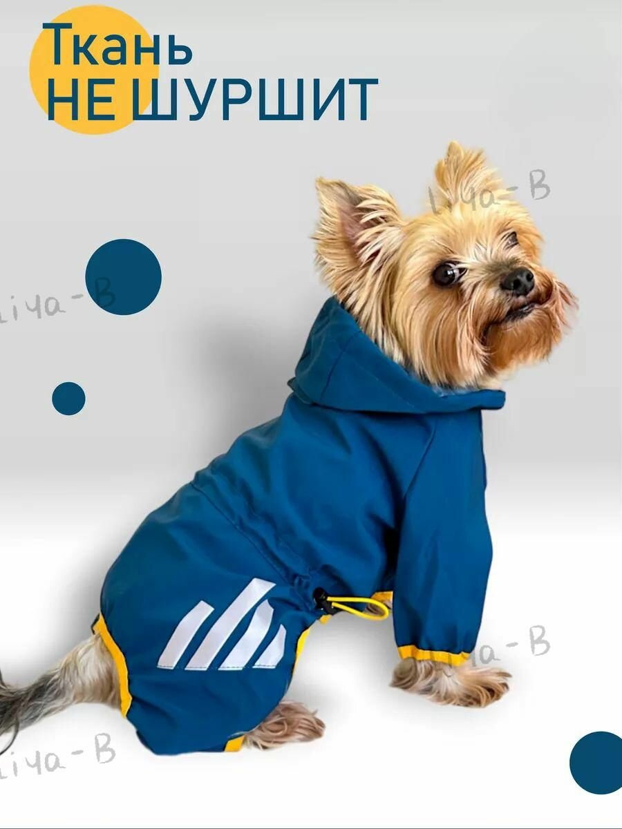 Одежда для собак дождевик