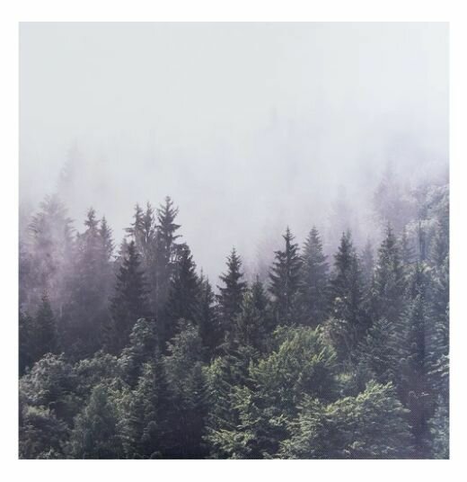 Картина на холсте Туманный лес 30x30 см